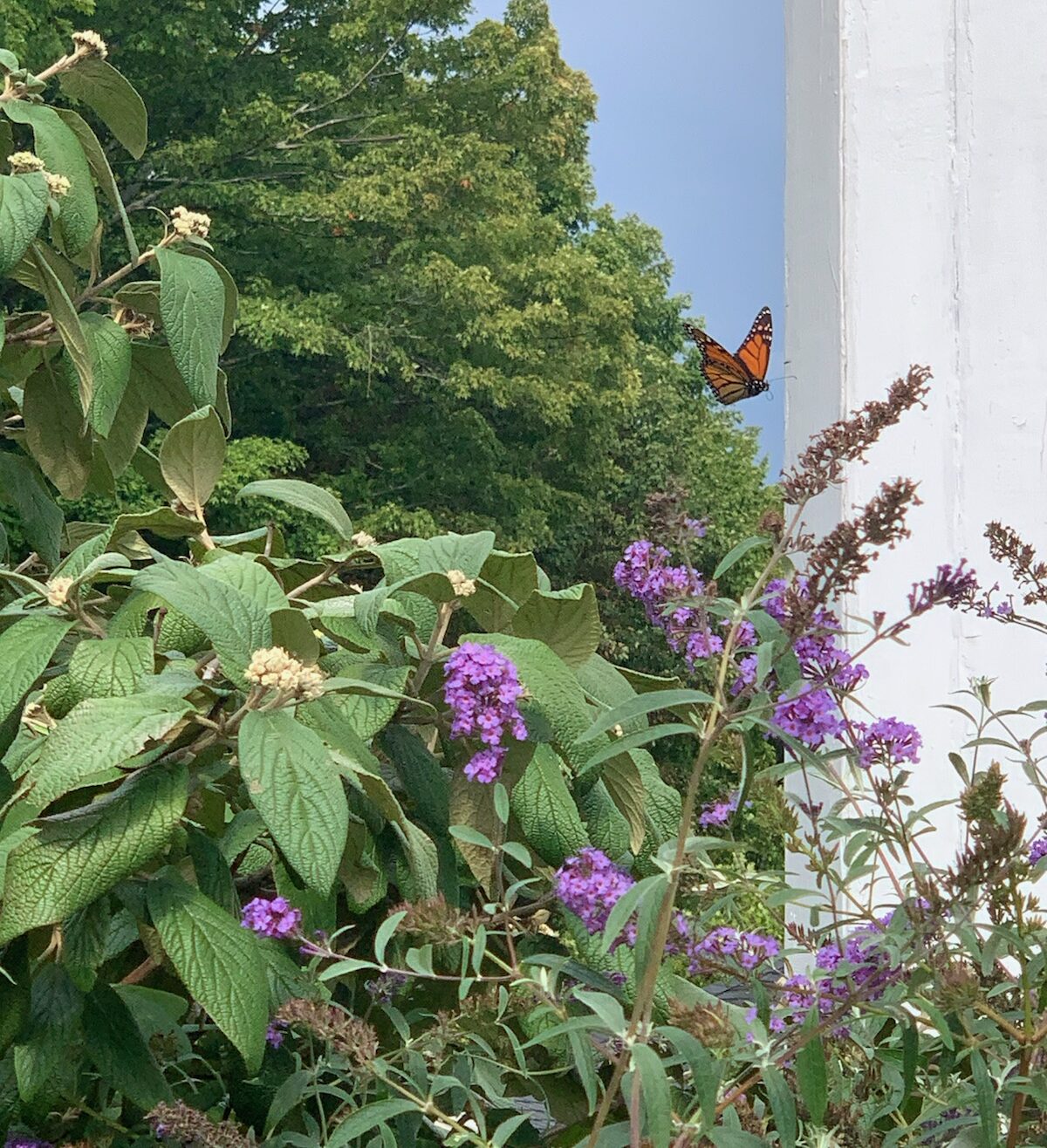 Two Planes, One Community - The North Parish Church of North Andover