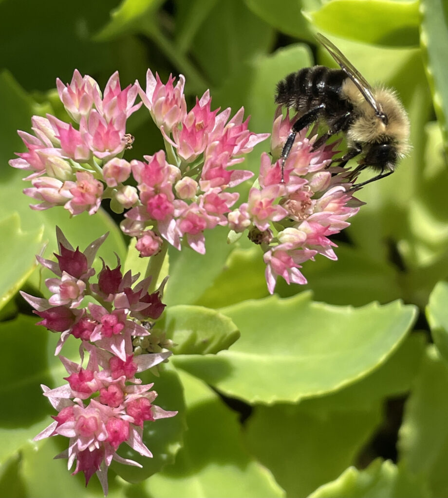 A People of Courage - The North Parish Church of North Andover